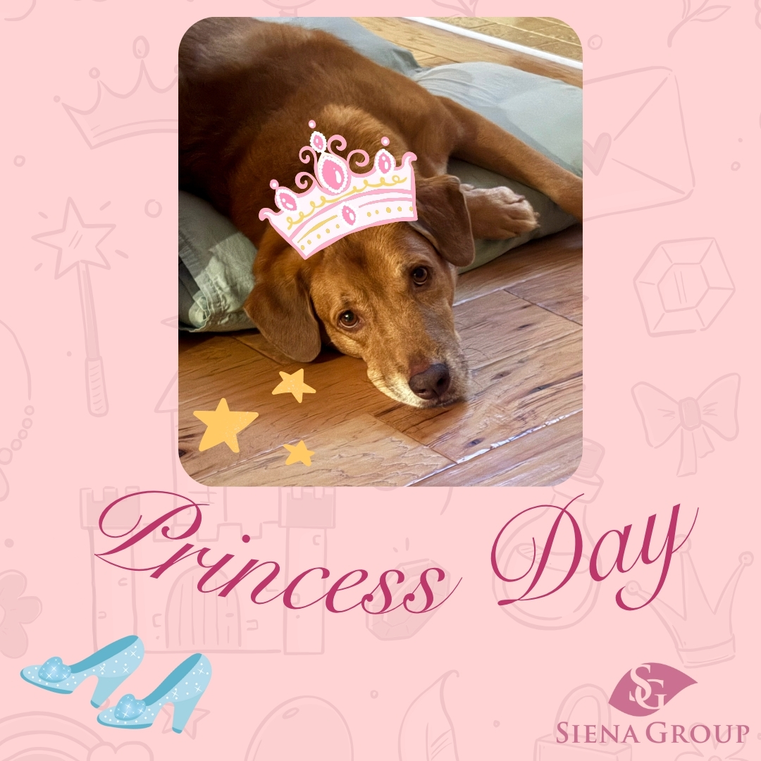 National Princess Day: November 18th | Siena Group