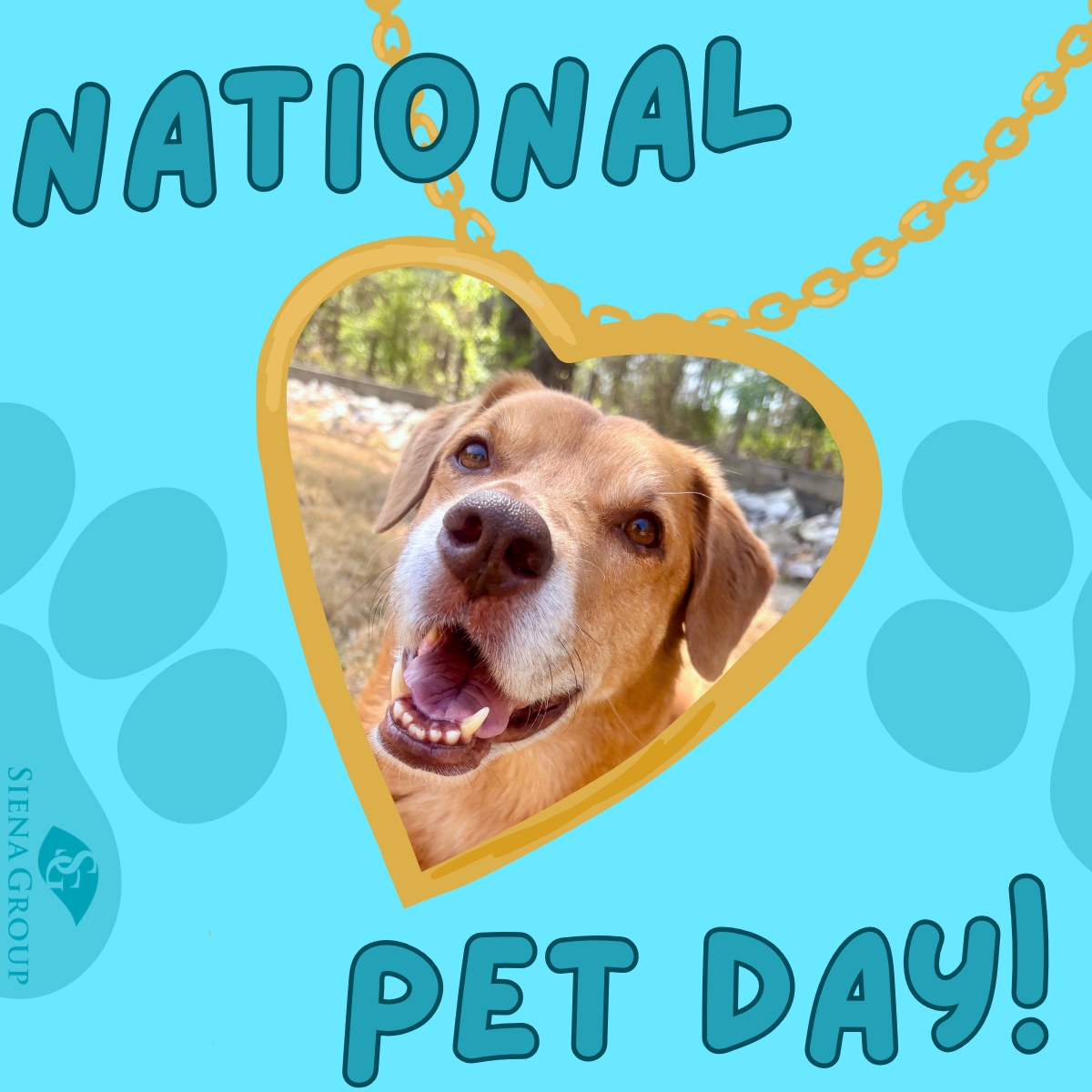 National Pet Day: April 11th | Siena Group